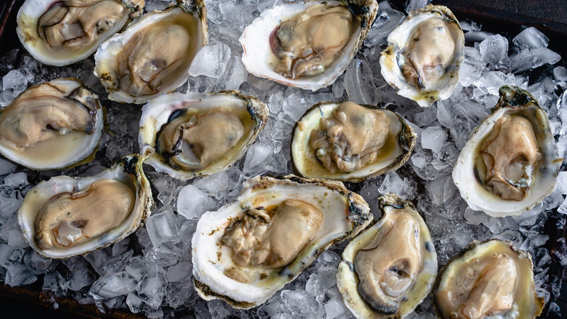 Raw oysters linked to a multistate salmonella outbreak that has ...