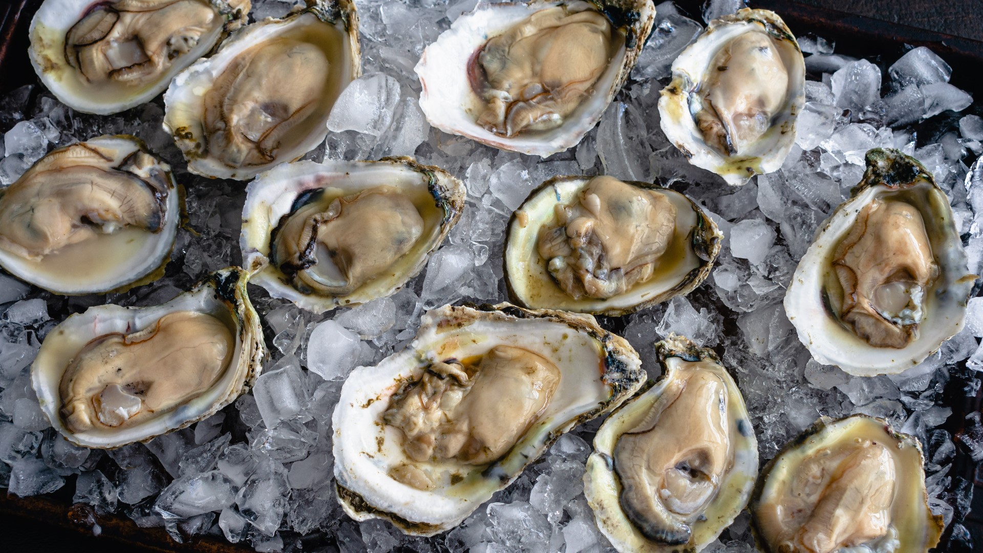 Raw oysters linked to a multistate salmonella outbreak that has ...
