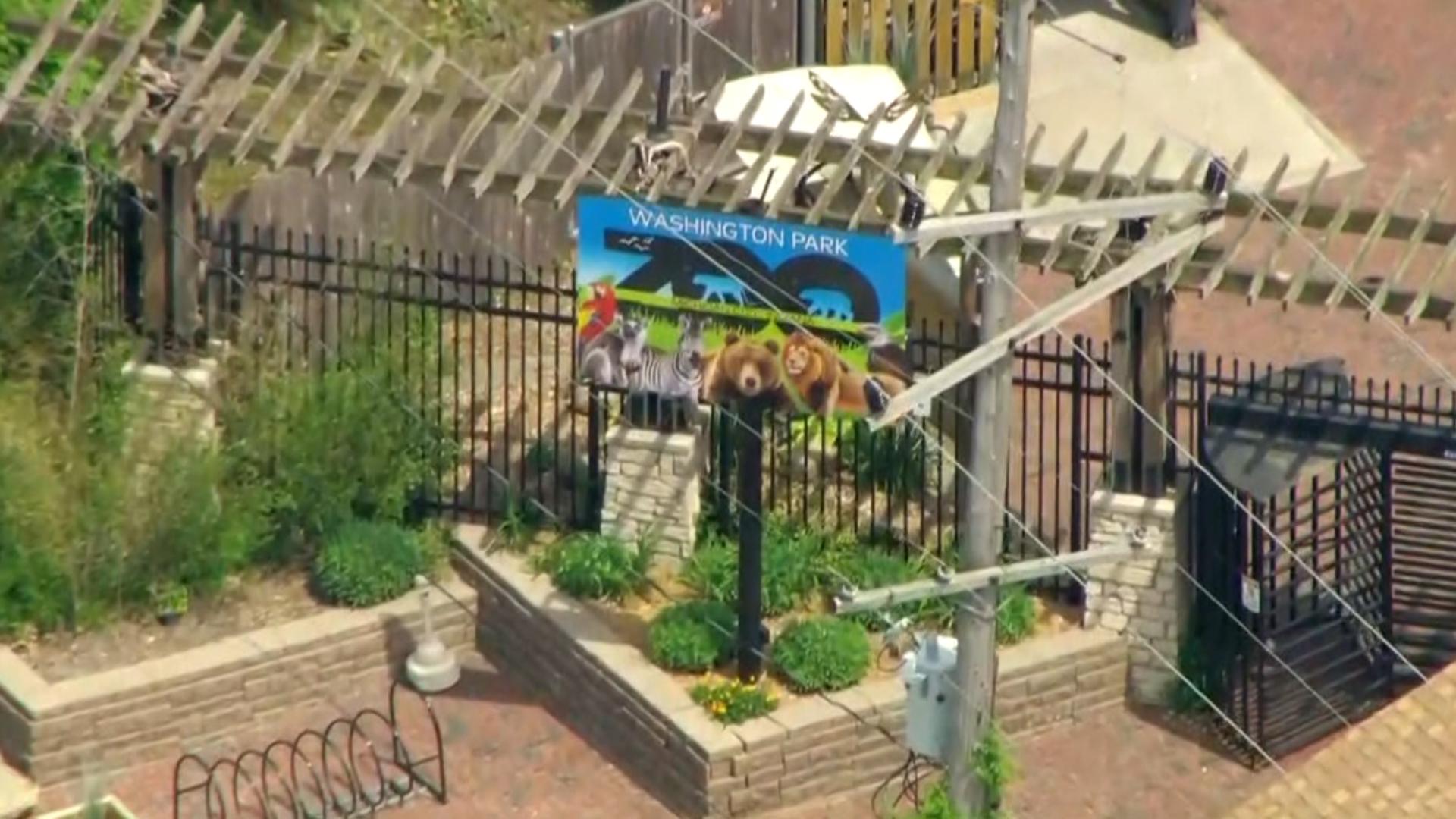 Zookeepers at an Indiana zoo were attacked by wolves during 'incident ...