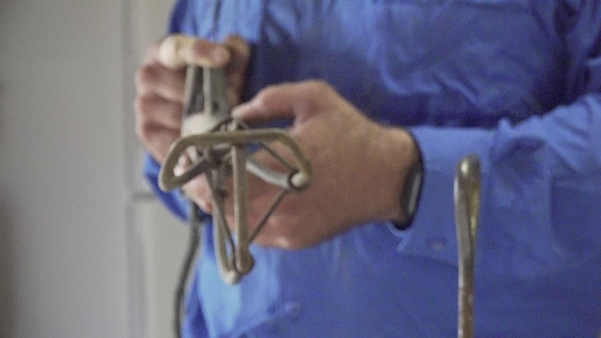 Halfmann family signs their Red Angus with the letter "H" | myfoxzone.com