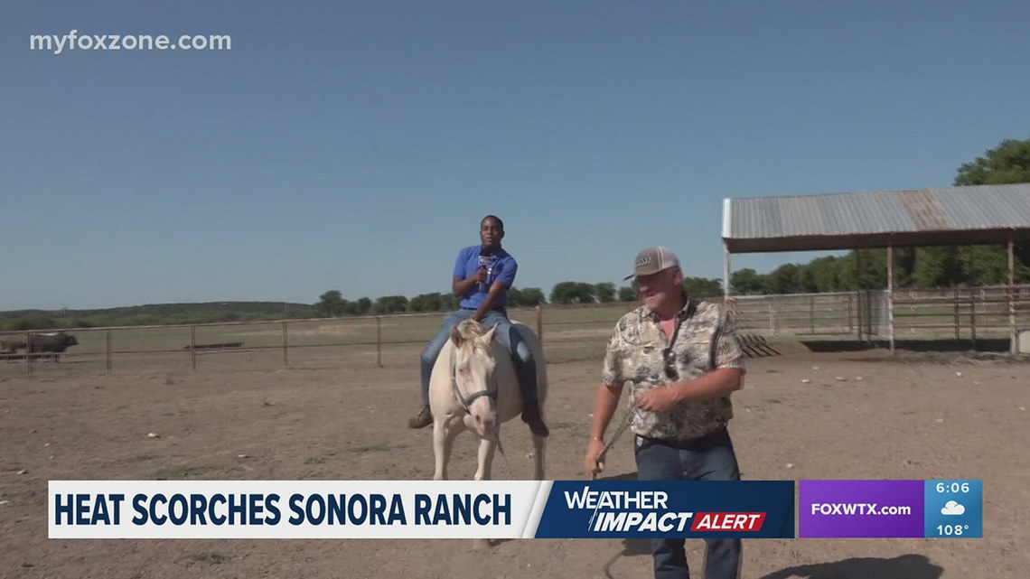 Heat scorches Sonora ranch, leaving rancher to buy feed | myfoxzone.com