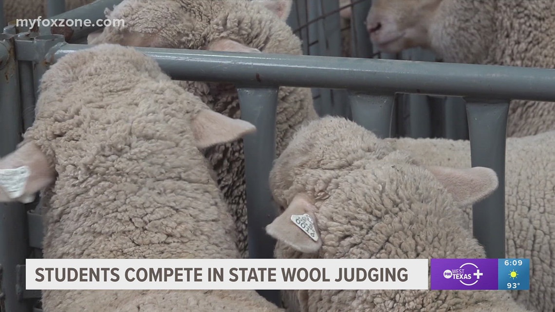 Grape Creek students ready for state wool judging at Texas Tech | myfoxzone.com
