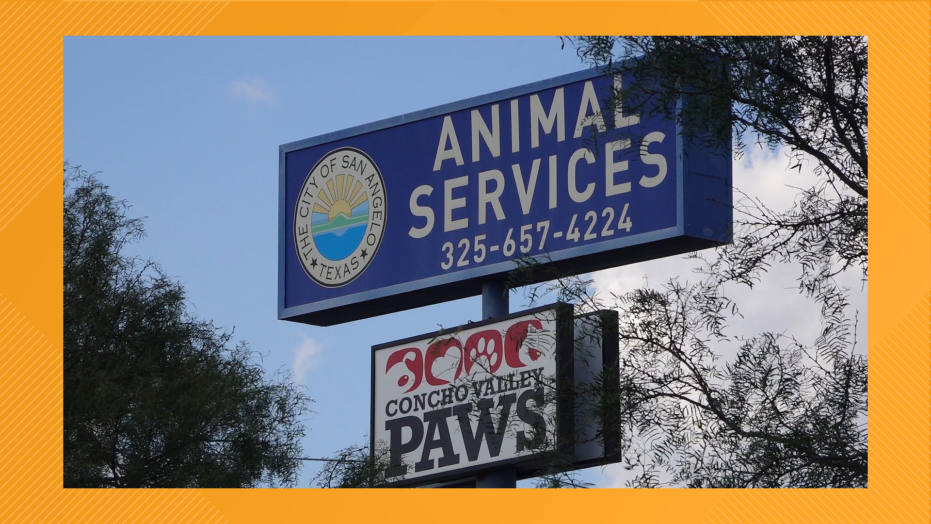 UPDATE: San Angelo Animal Services receives test results for raccoon ...