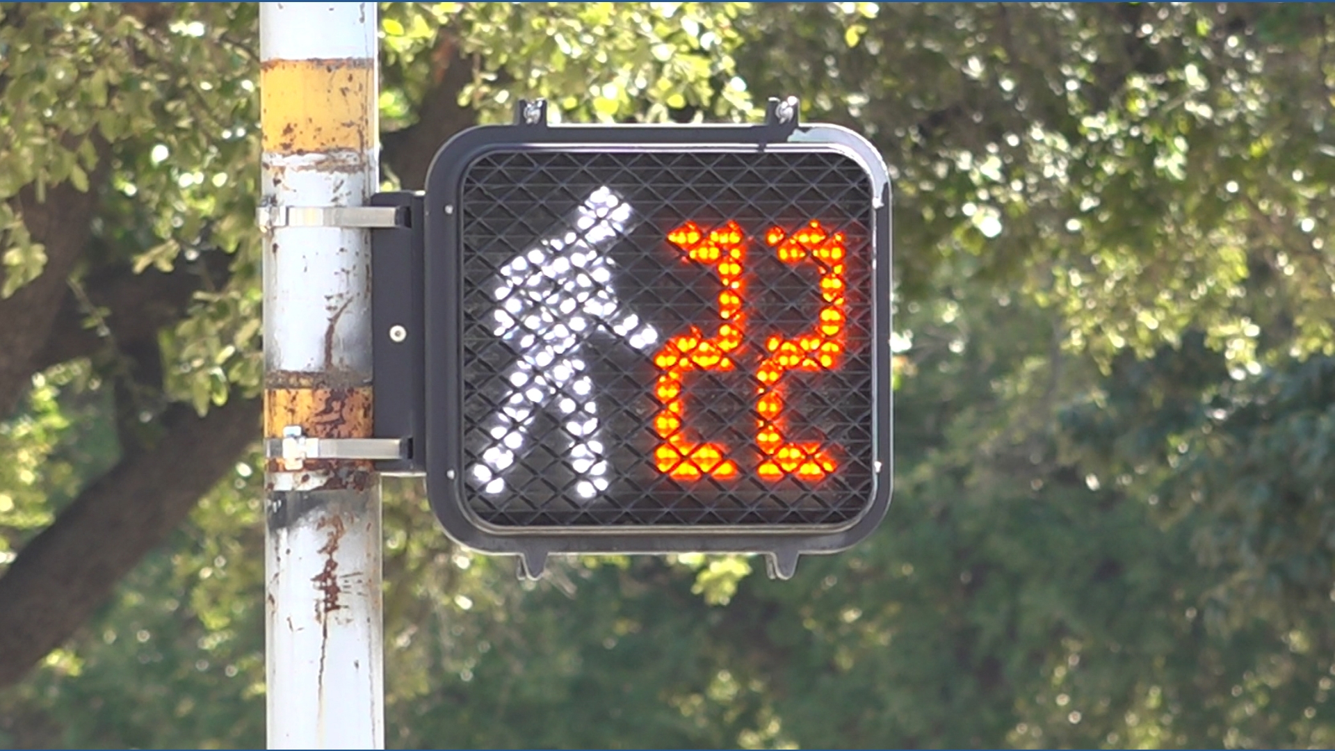 TxDOT Warns of Pedestrian Crash Rise in October | myfoxzone.com