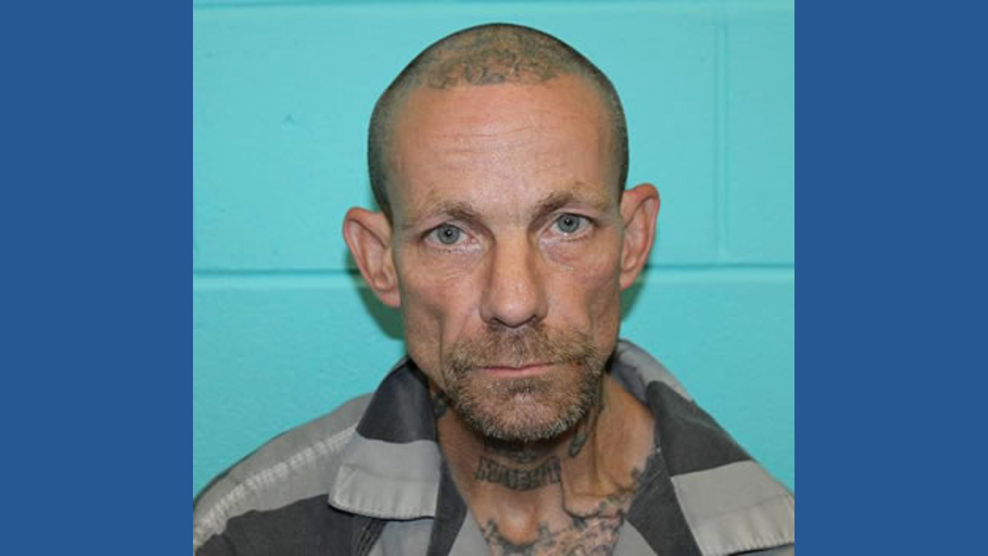 “Where’s Waldo” operation nets multiple felony arrests in Nolan County ...