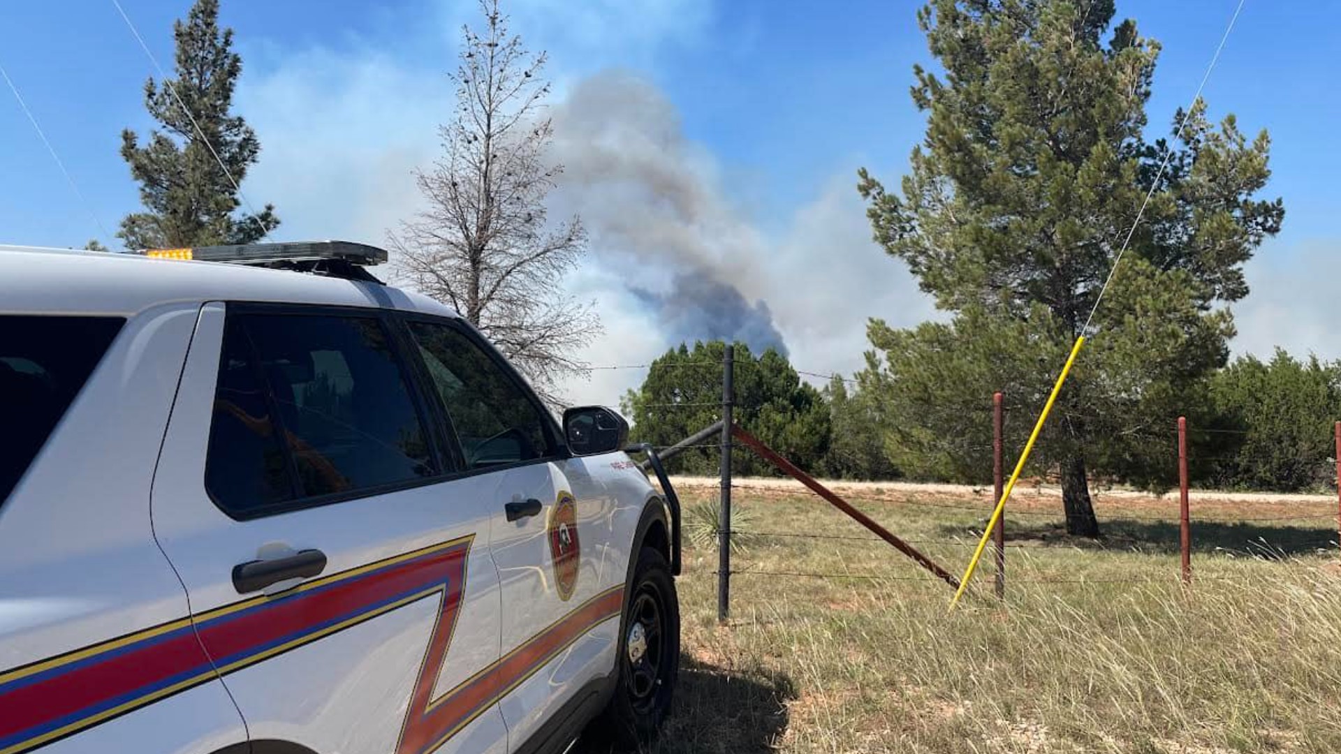 Rolling Pin Fire is 95 percent contained, TAMU Forest Service says ...
