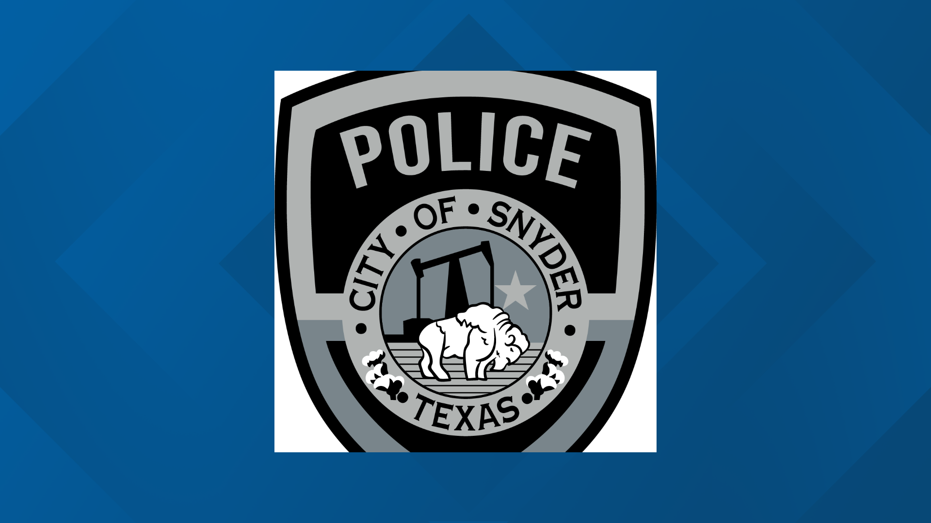 Snyder man arrested on multiple charges following shots fired ...