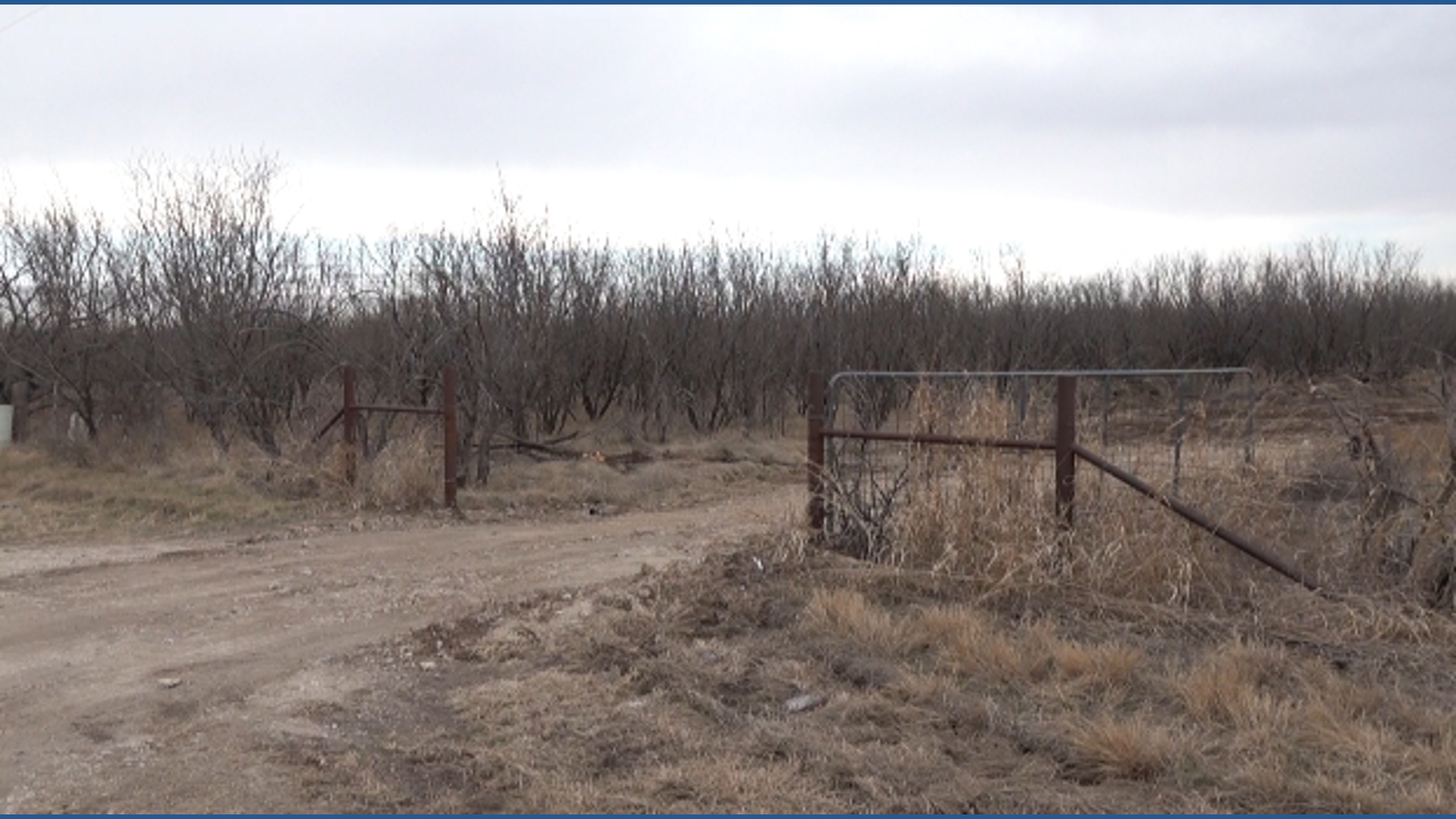 Why your phone may be in 'SOS' mode | myfoxzone.com