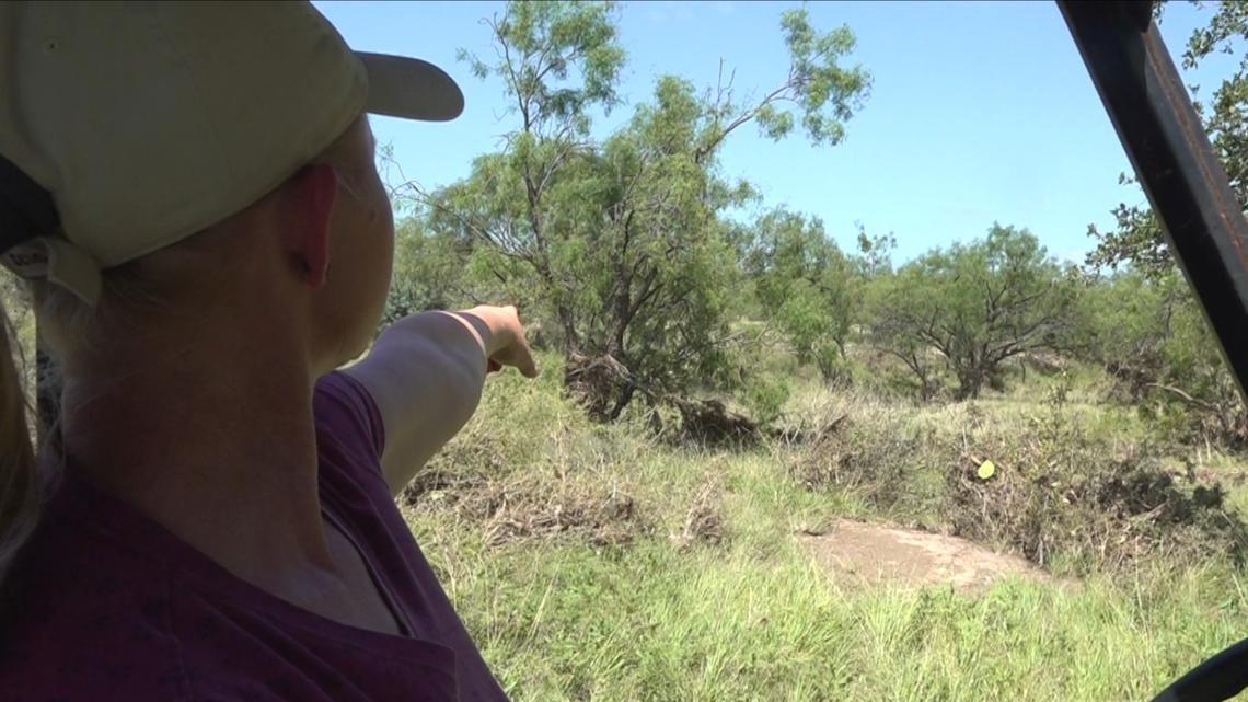 Menard County farmers and ranchers tackle flood recovery challenges ...