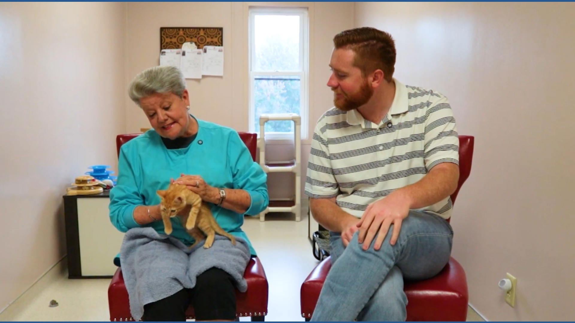 Meet the PAWS Pet of the Week: BAM | myfoxzone.com