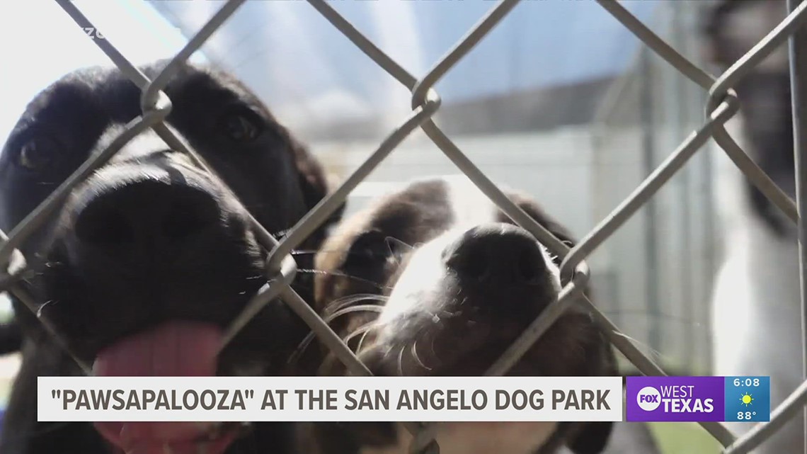 "Pawsapalooza" at the San Angelo dog park | myfoxzone.com