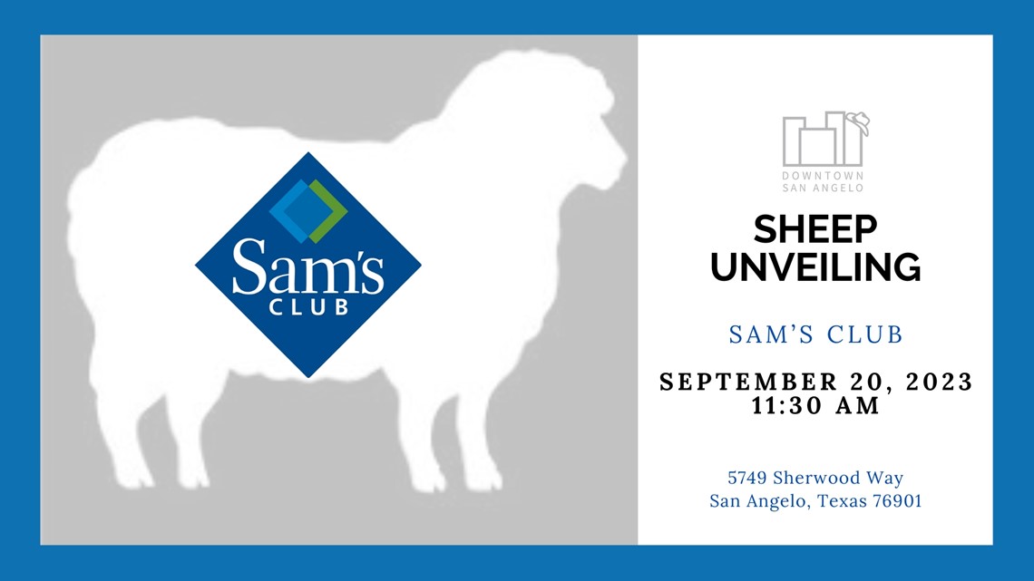 Sam's Club sheep, 'Sam', will be unveiled Sept. 20 | myfoxzone.com