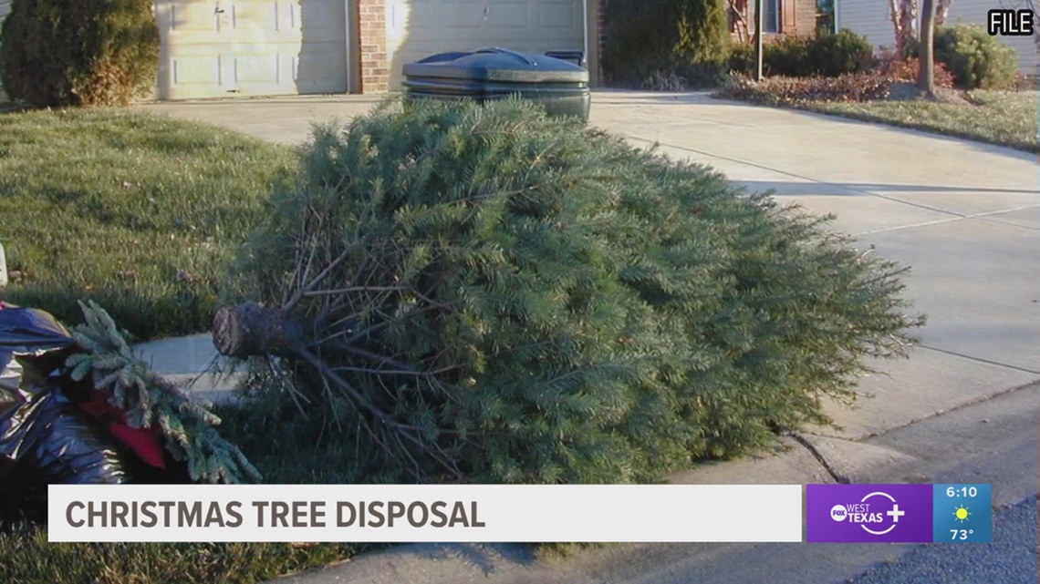 Post-holiday Christmas tree disposal | myfoxzone.com