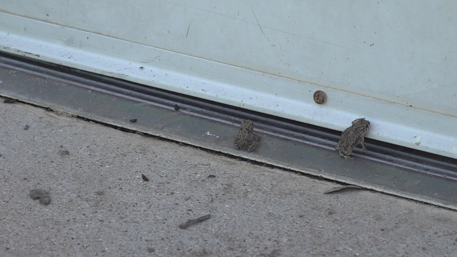 Northside Rec's future in question after major flooding | myfoxzone.com