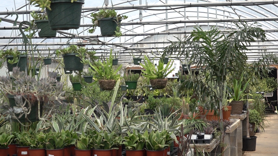 Rain goes a long way for plant nurseries, landscapers | myfoxzone.com