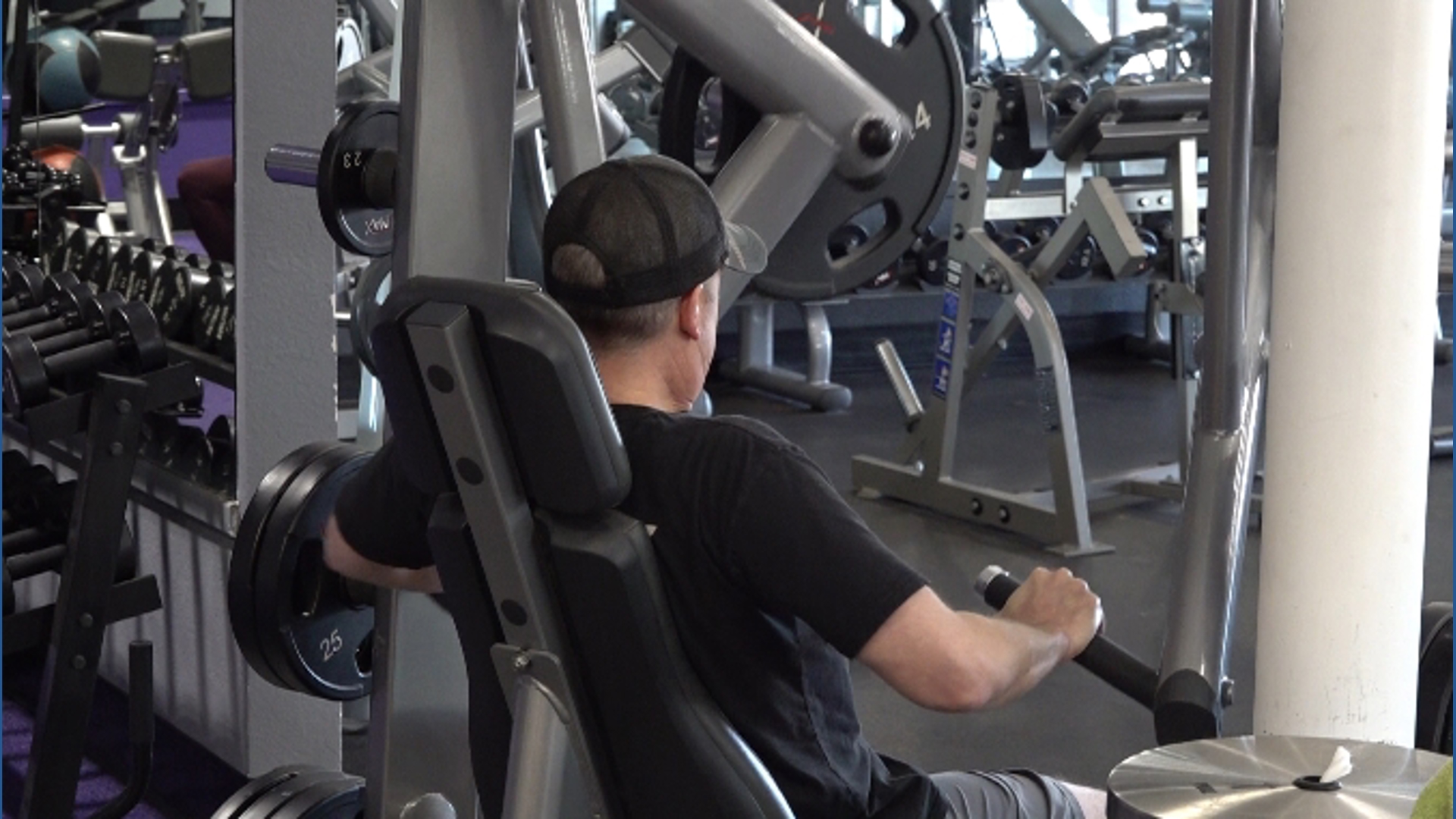 What are snow fleas? Why tiny black bugs show up on snowy days ...