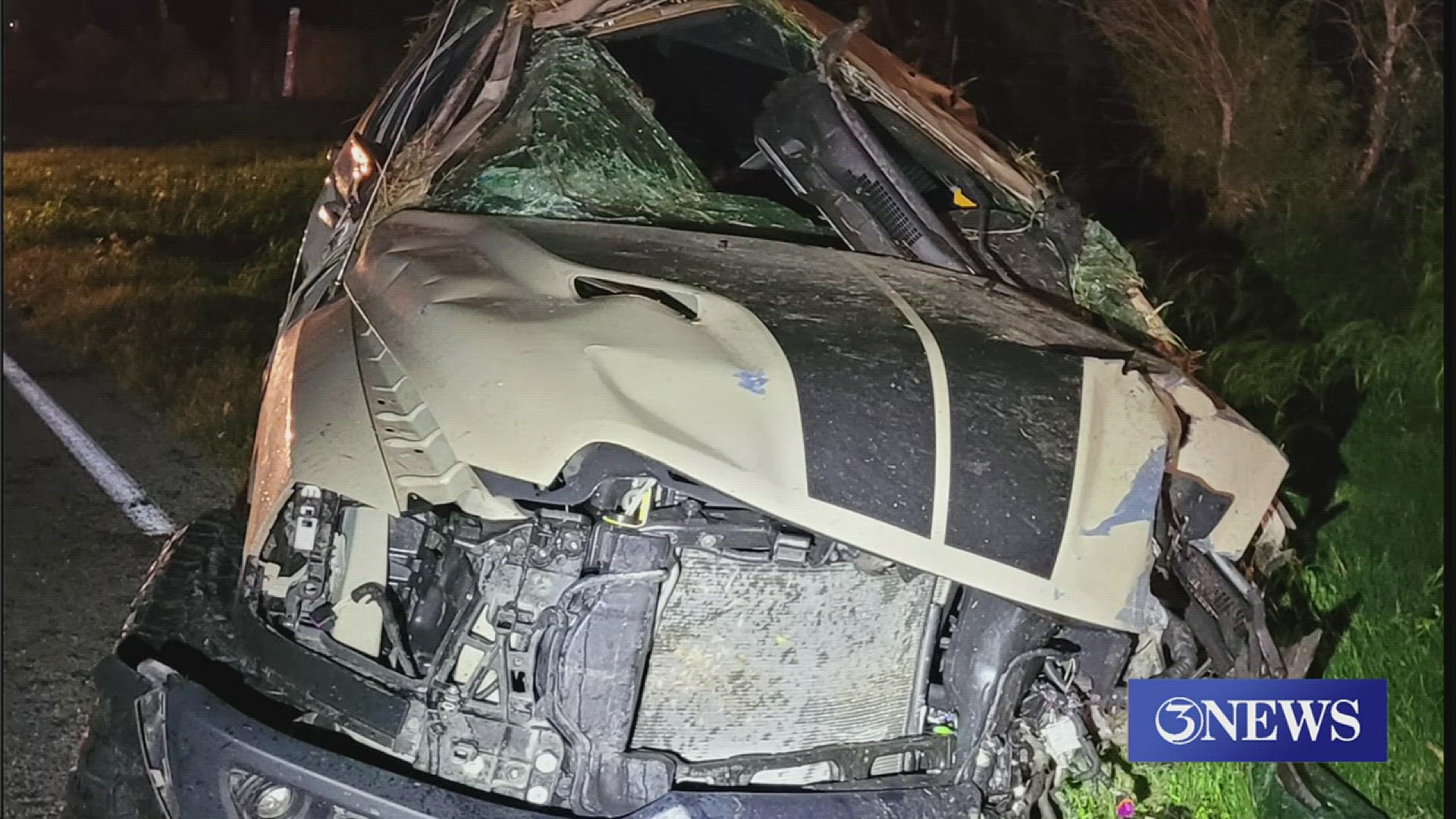 Wild pigs cause fatal crash in Alice: two dead, one injured | myfoxzone.com