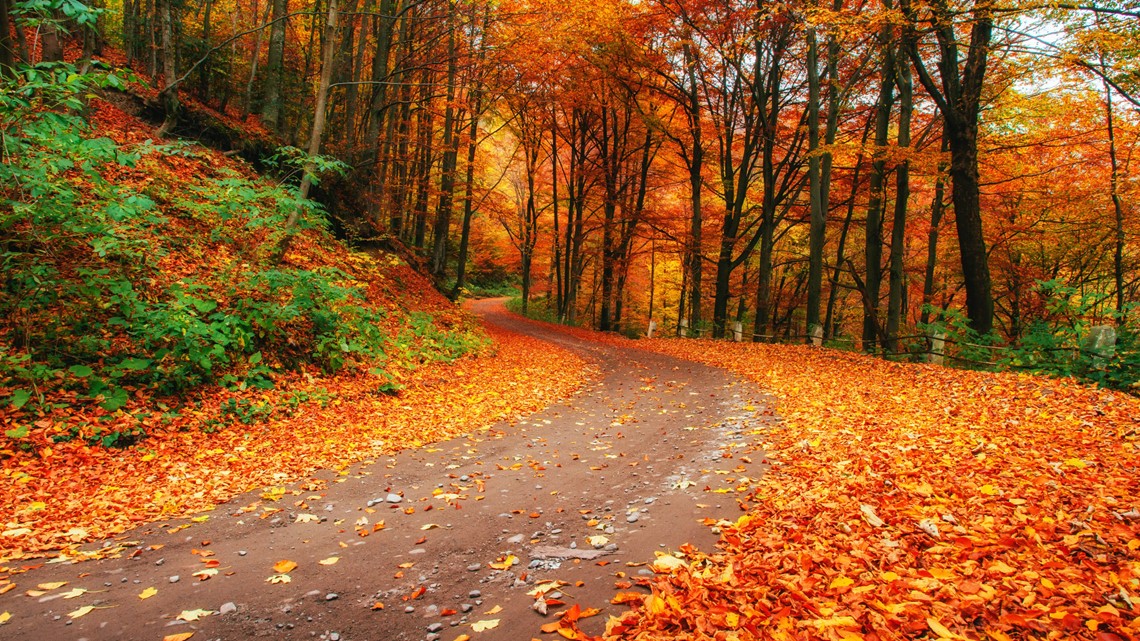 4 fun facts about fall season | myfoxzone.com