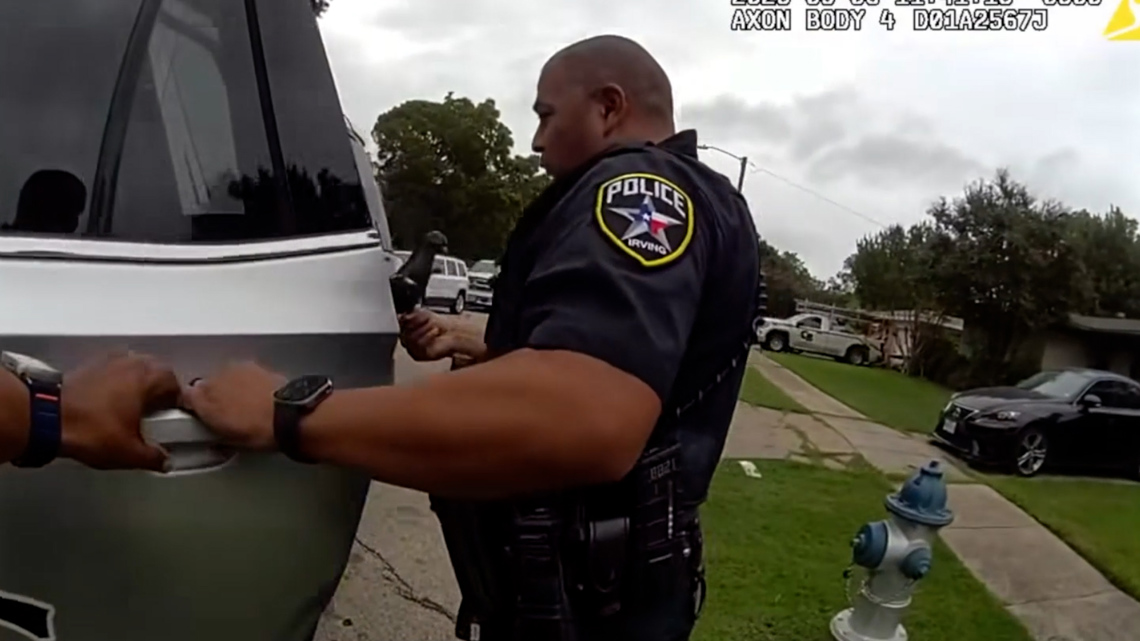 Irving, Texas: Blind pigeon gets rescued by Irving Police Department ...