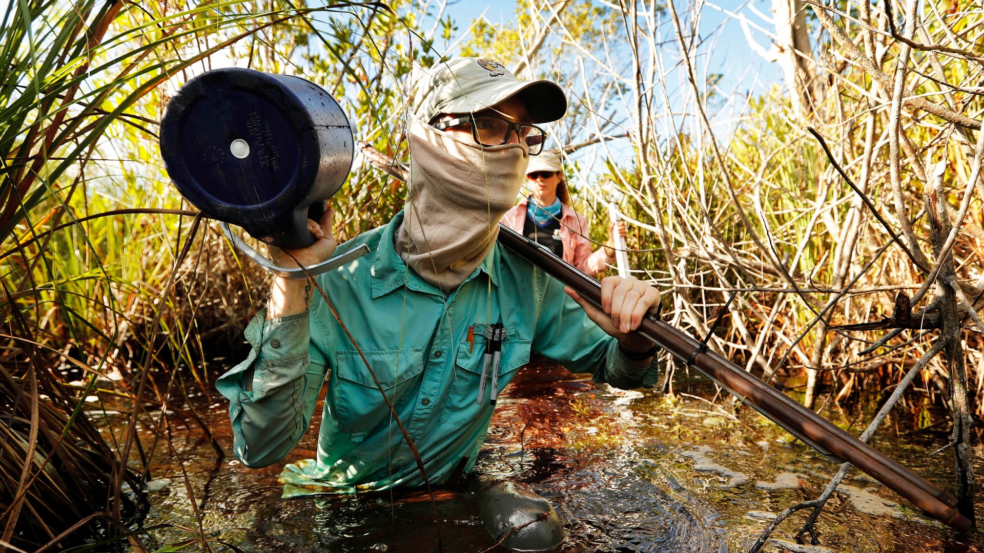 Photos: Trying to save the Everglades | myfoxzone.com